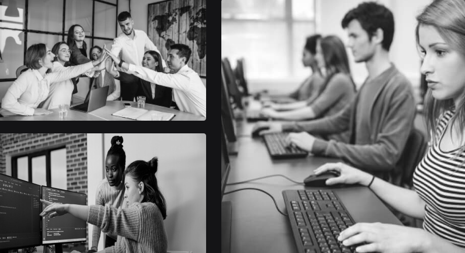 Finding the Right Solution - Pioneerforce